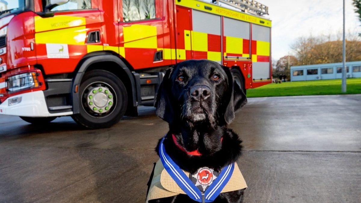 BBC Three Counties Radio - Justin Dealey on BBC Three Counties Radio ...