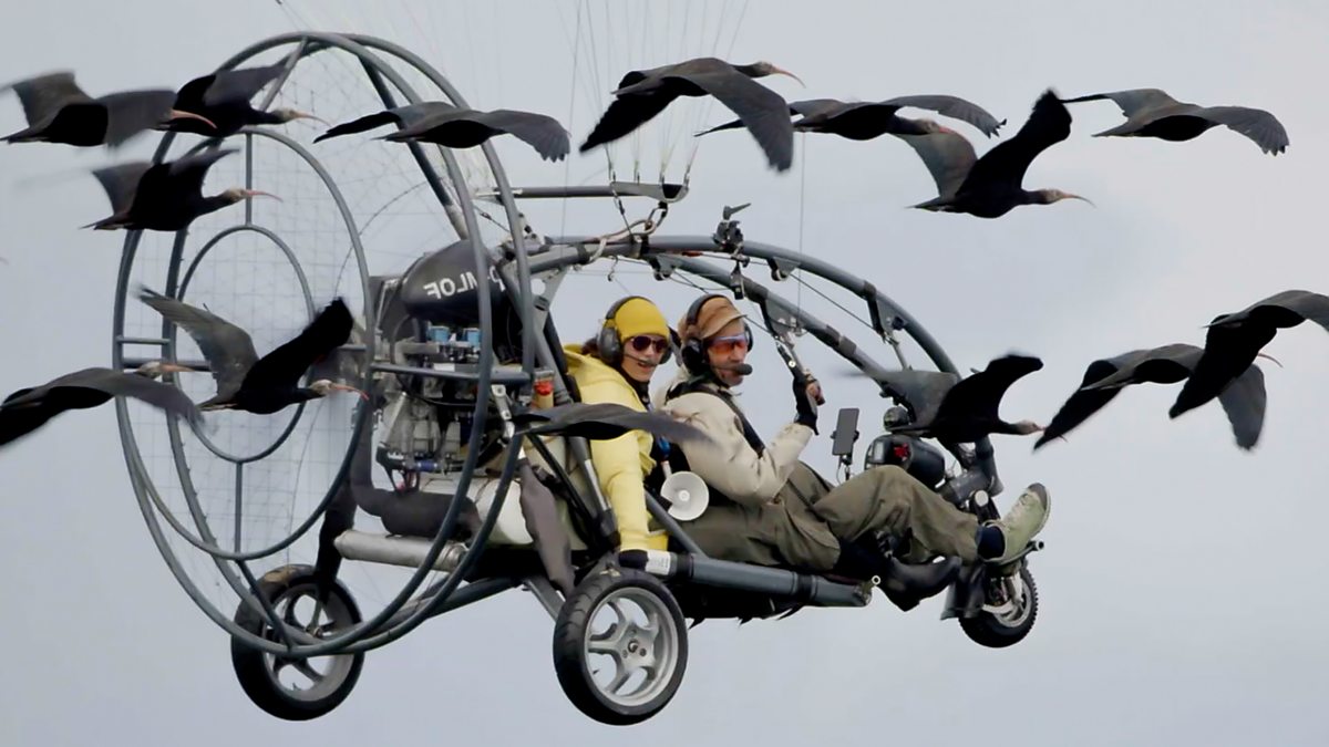 BBC One - Planet Earth III, Series 1, Heroes