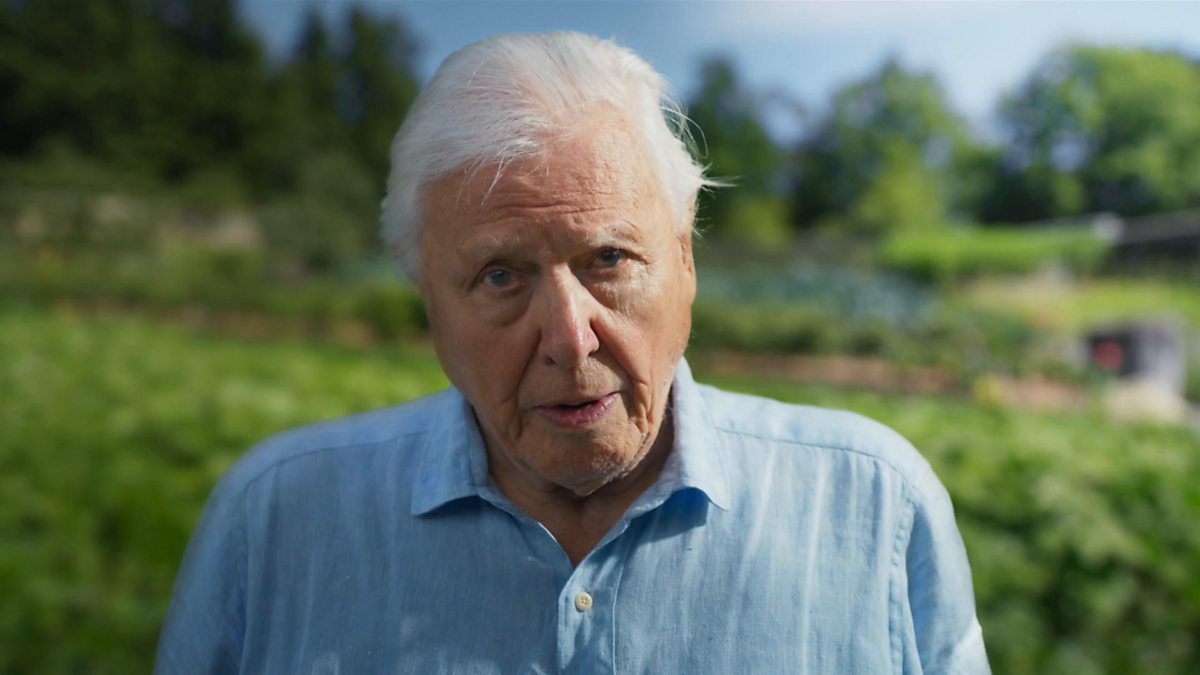 BBC One - Planet Earth III, Series 1, Human, Sir David Attenborough suggests a way of making ...