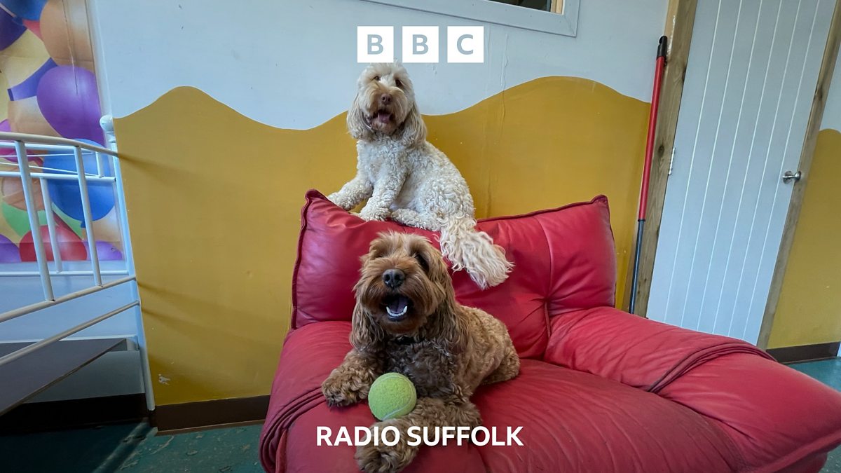 BBC Radio Suffolk - BBC Radio Suffolk, Dog friendly Bury St Edmunds