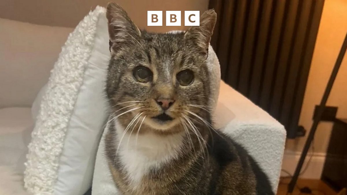 BBC CWR - BBC CWR, "I don't know who was more shocked!"