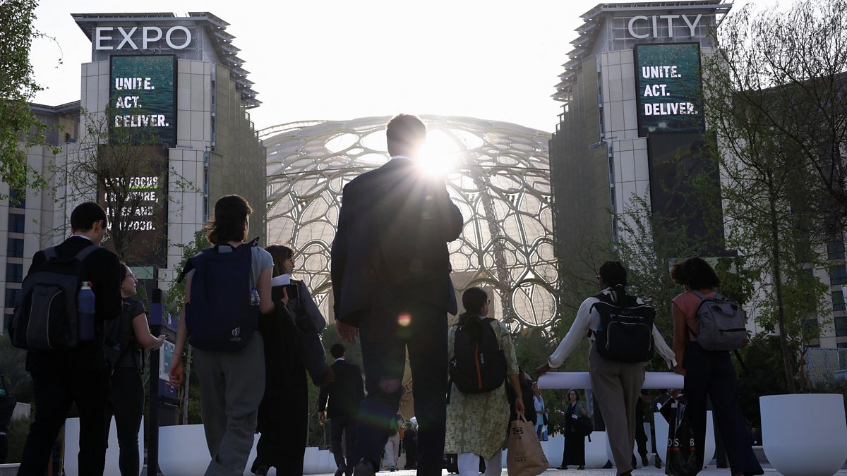 BBC World Service - Newsday, COP28: 'Turn off the hose of emissions and invest in nature'