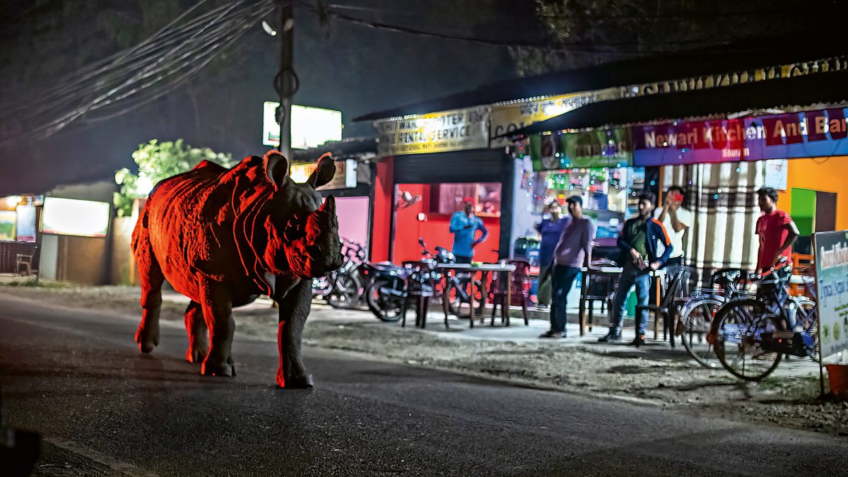 BBC One - Planet Earth III, Series 1, Human, Rhino in the city