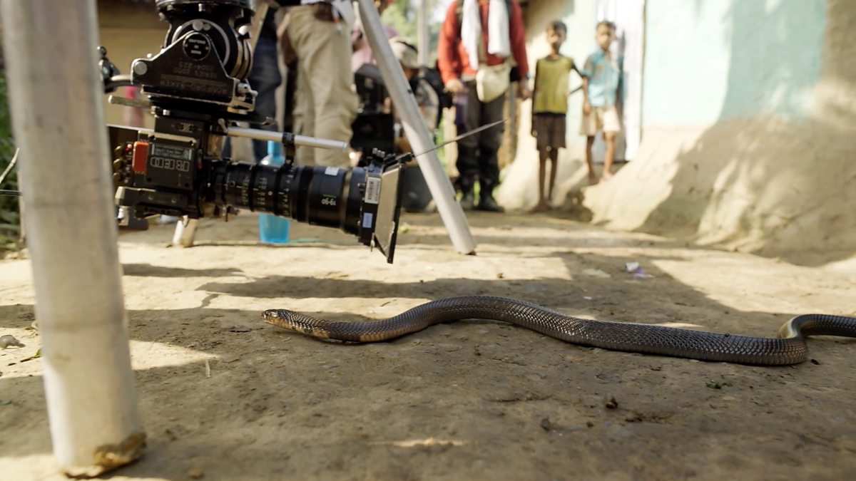 BBC One - Planet Earth III, Series 1, Human, Making Planet Earth III ...