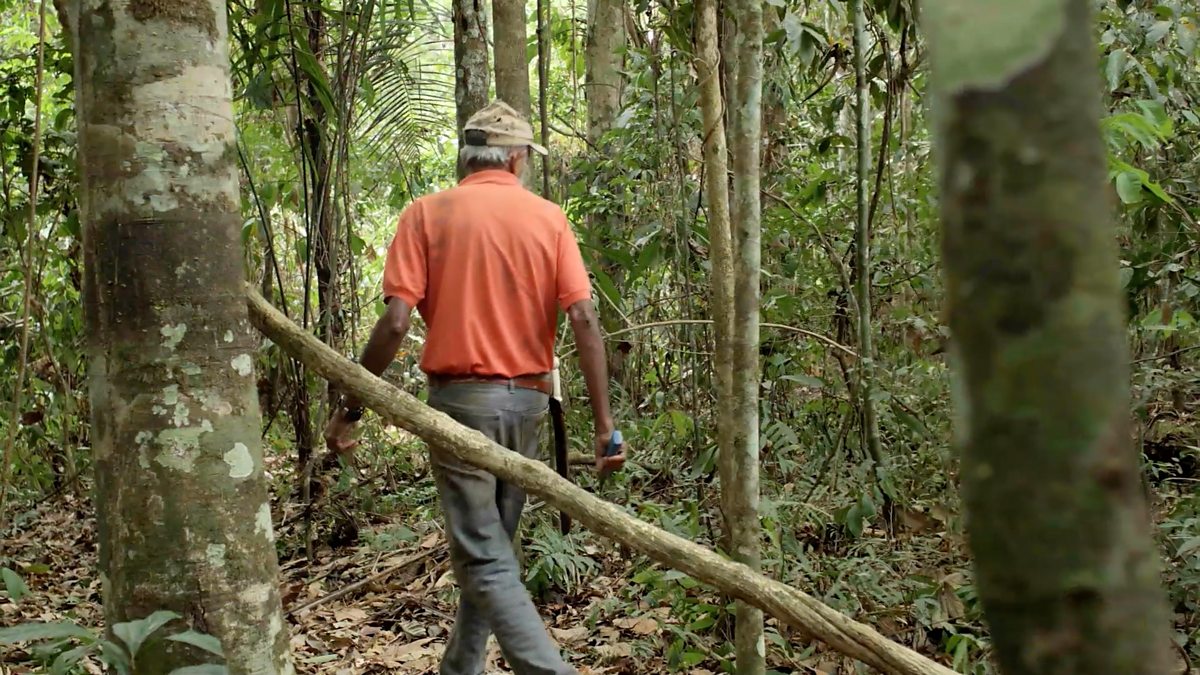 BBC One - Planet Earth III, Series 1, Human, Web exclusive: Making a ...