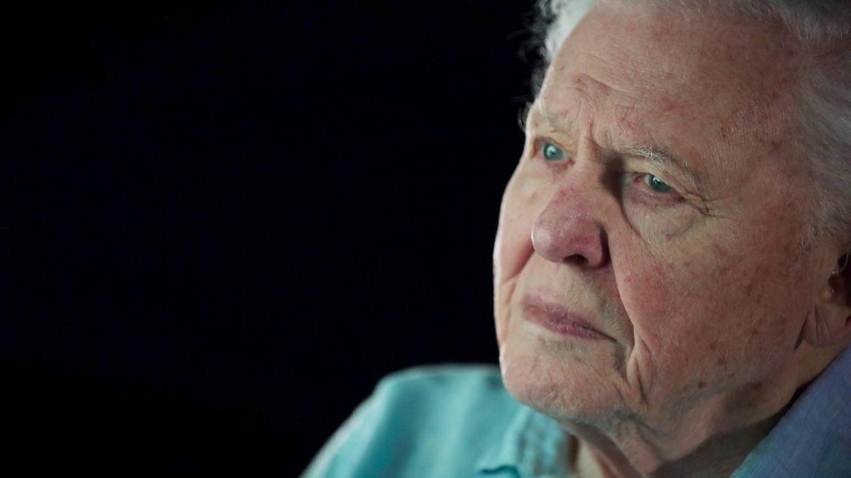 BBC One - Planet Earth III - How to be a conservation hero