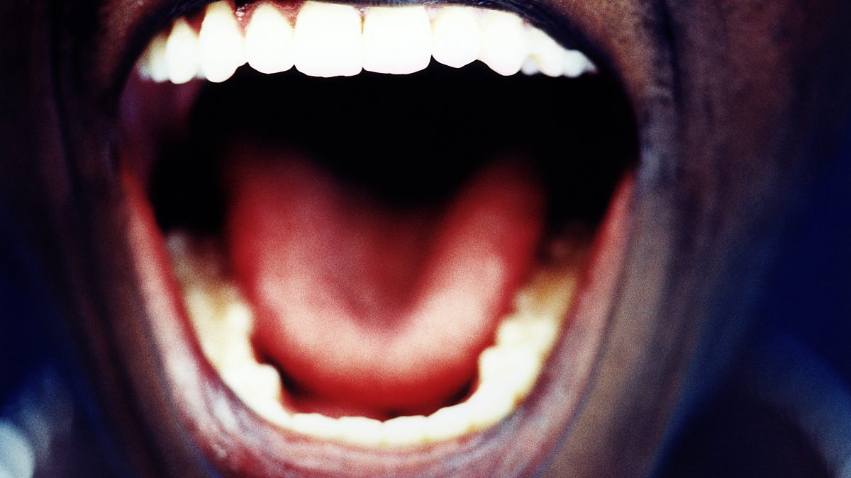 BBC World Service - Discovery, Putting the Mouth Back into the Body