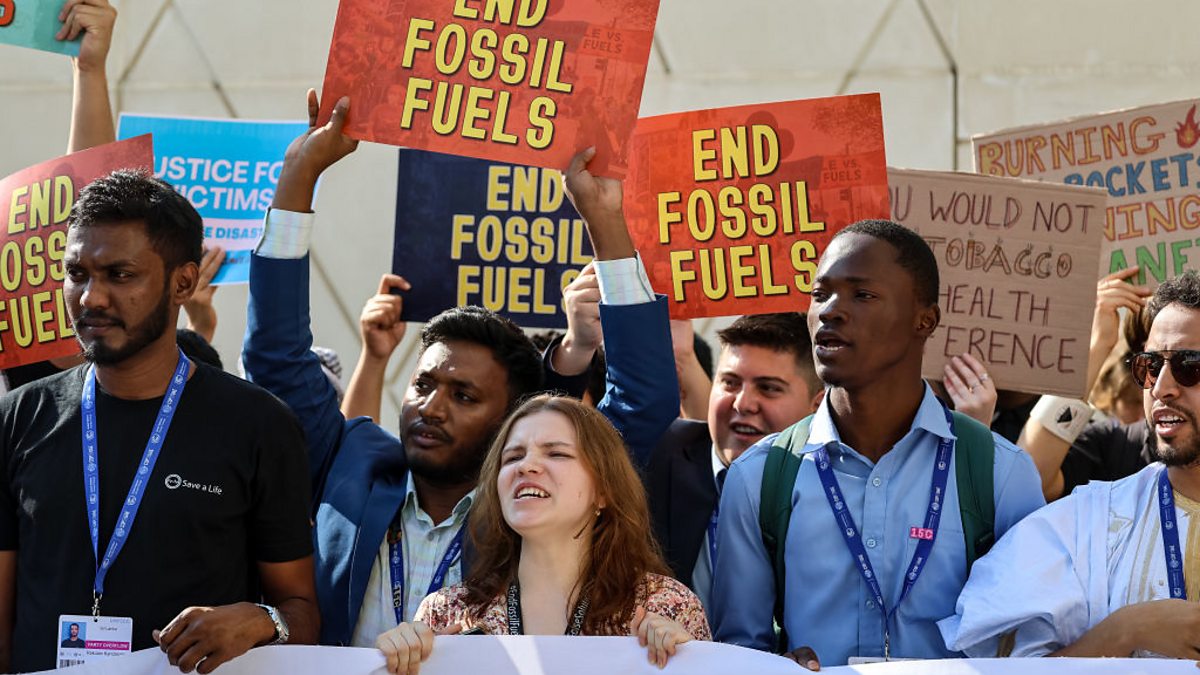 BBC World Service - Science In Action, Can carbon capture live up to its hype?