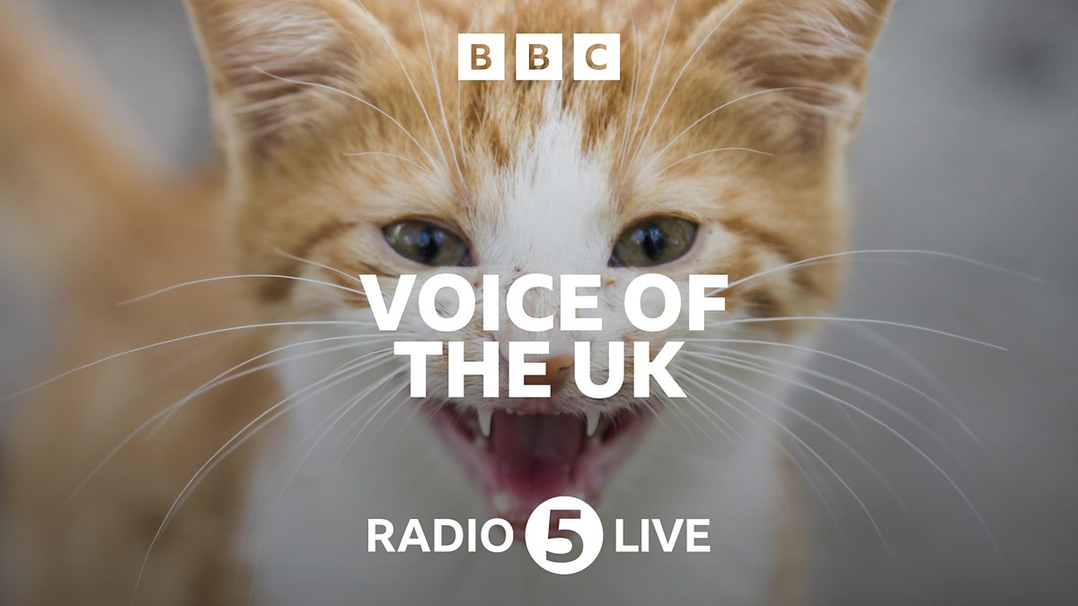BBC Radio 5 Live - Voice of the UK, How do we stop killer cats?