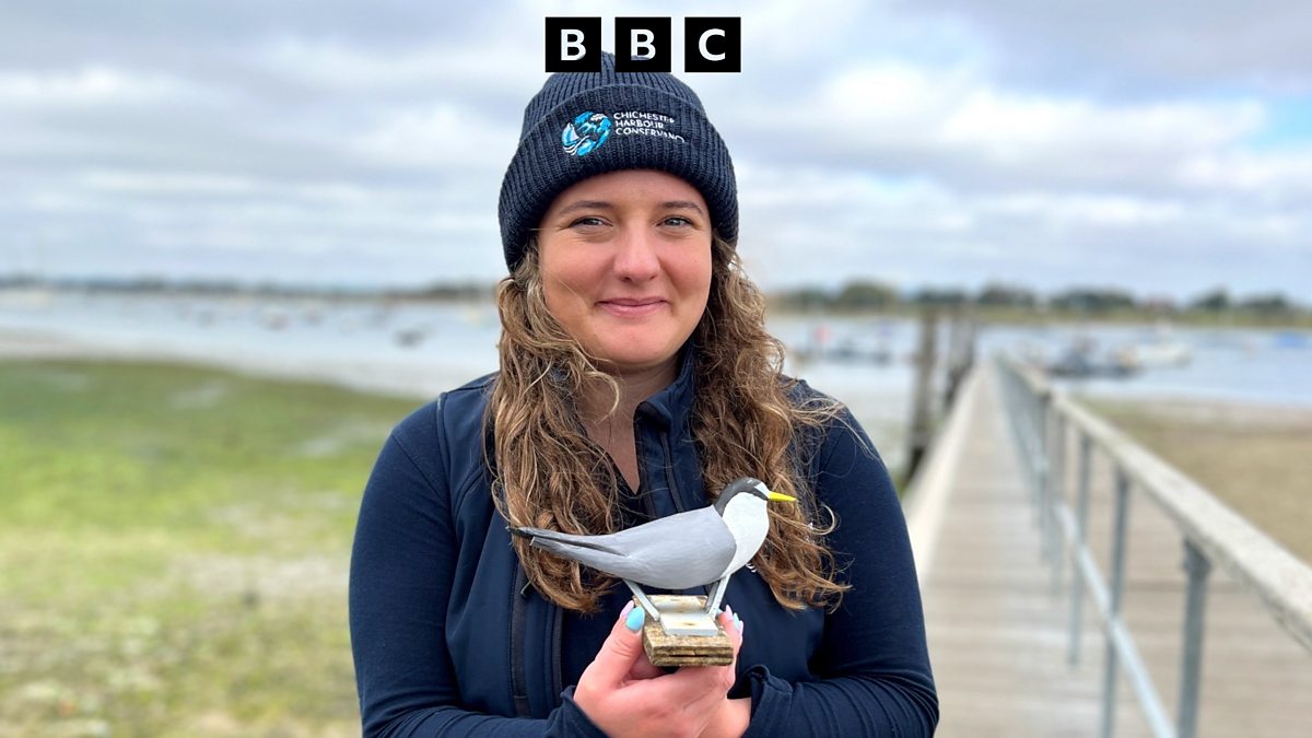 BBC World Service - People Fixing the World, Fake birds and other stories