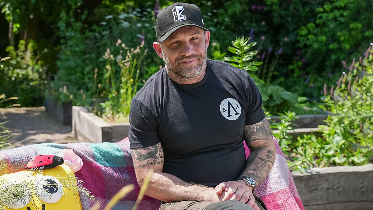 CBeebies Bedtime Stories - F-J: Tom Hardy - Tisha and the Blossom - BBC iPlayer