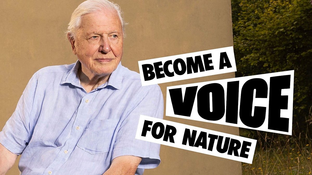 BBC - Our Planet Now - How to Become a Voice for Nature