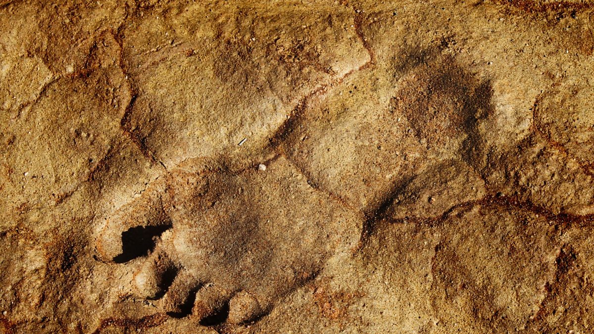 BBC World Service - Science In Action, Following in the footsteps of ancient humans