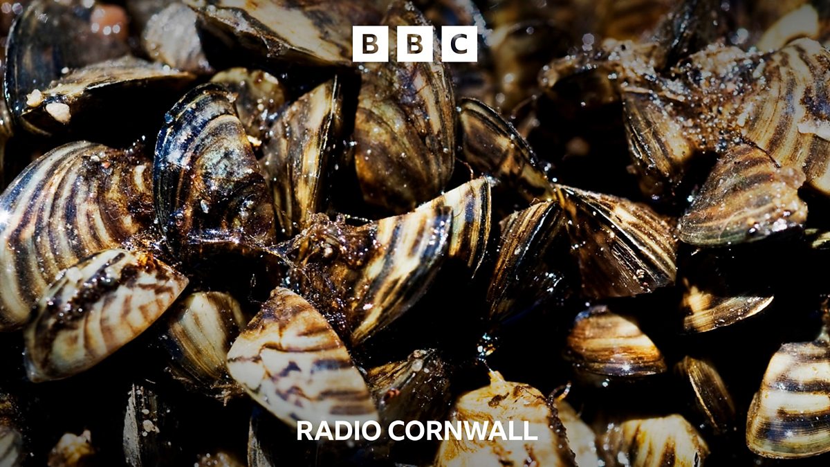 BBC Radio Cornwall - BBC Radio Cornwall, The fight's on in Bude against ...