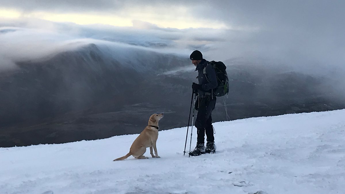 BBC Radio 4 - Open Country, Mabel's mountain trip with hares