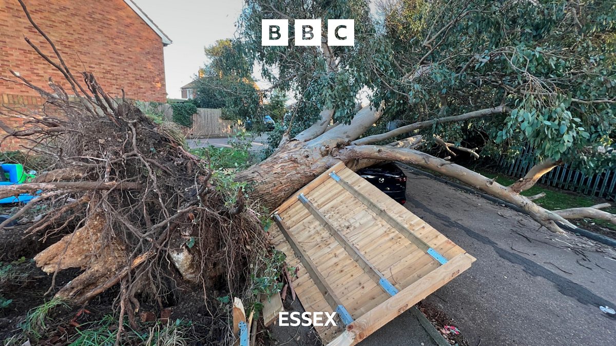 BBC Essex - BBC Essex, Storm Henk causes damage across Essex