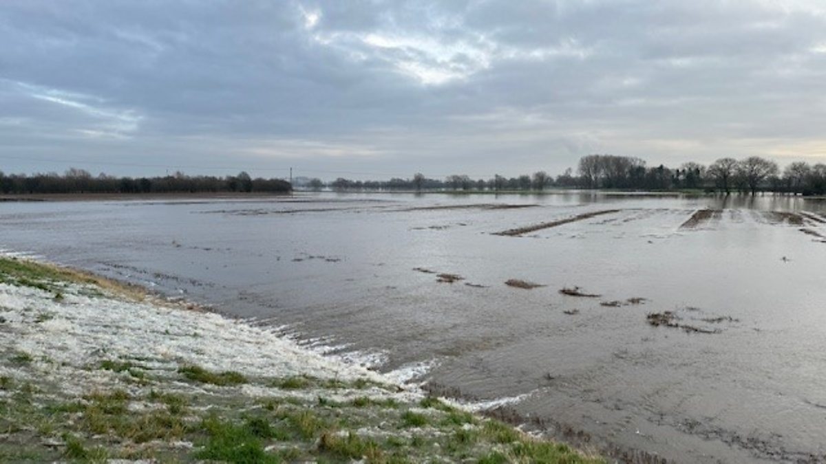 BBC Radio York - Georgey Spanswick at Breakfast, Steve Jordan sits in ...