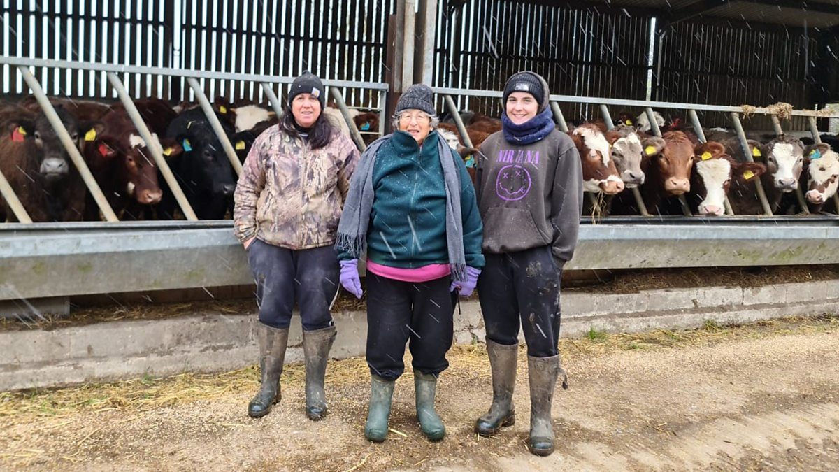 BBC Radio 4 - On Your Farm, Three Women in Beef