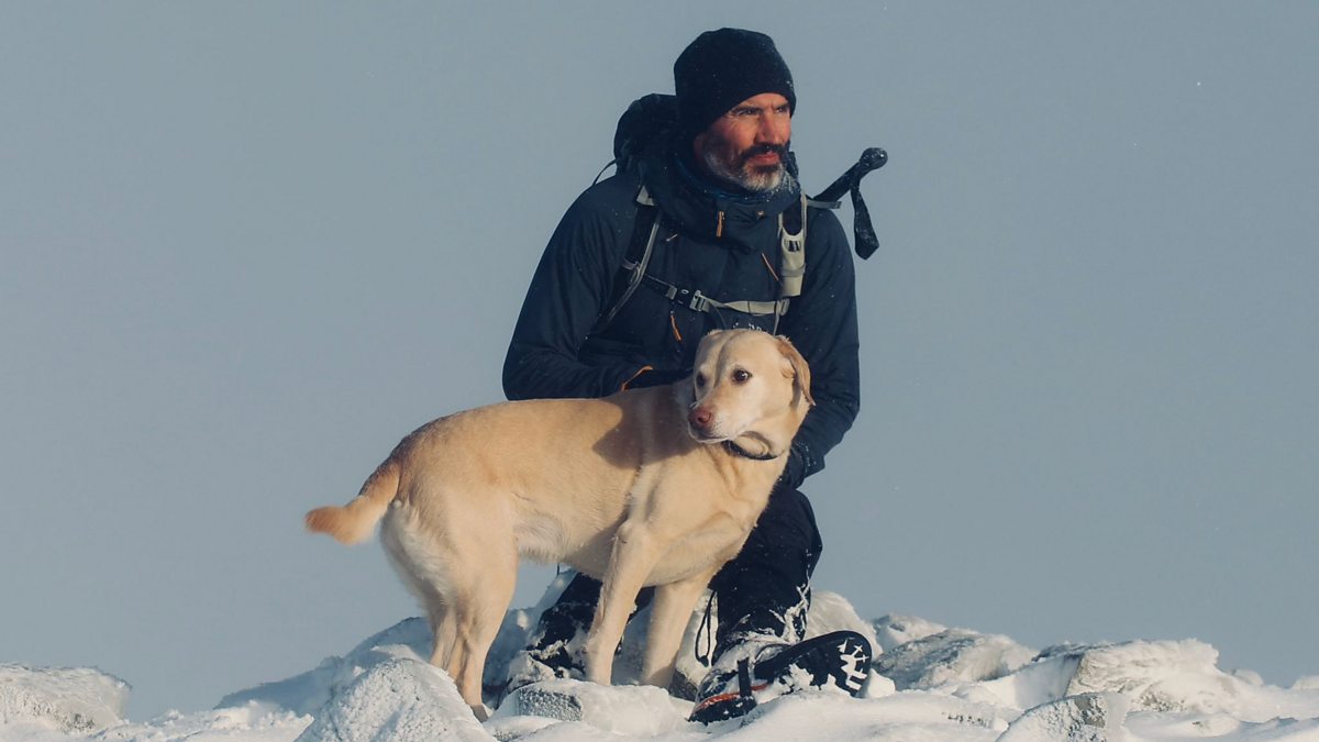 BBC Radio 4 - Open Country, Mabel's mountain trip with hares, Mabel's ...