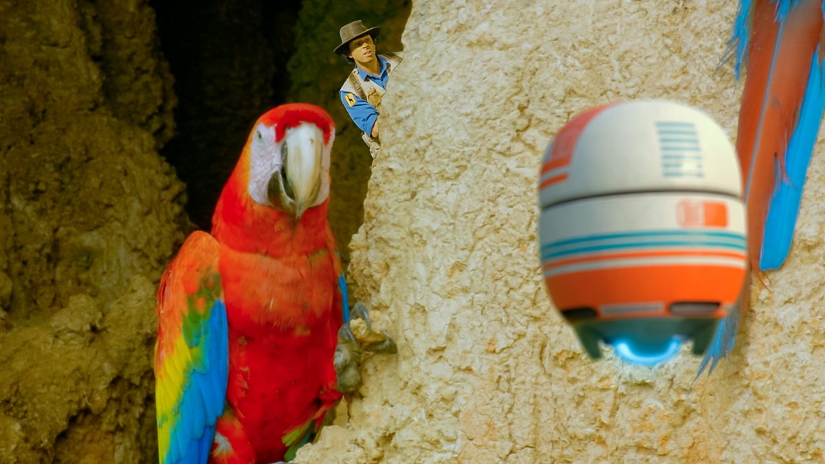 Andys Global Adventures - Series 2: 10. Andy and the Scarlet Macaws ...