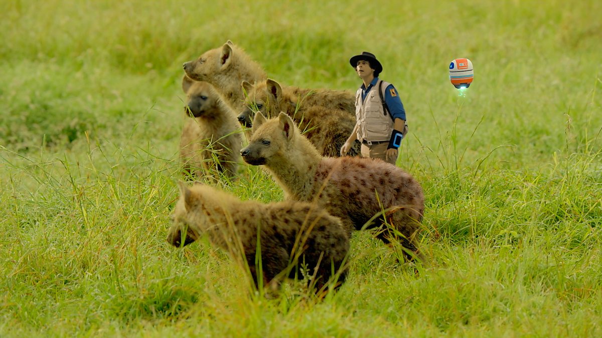 Andys Global Adventures - Series 2: 9. Andy and the Spotted Hyenas ...