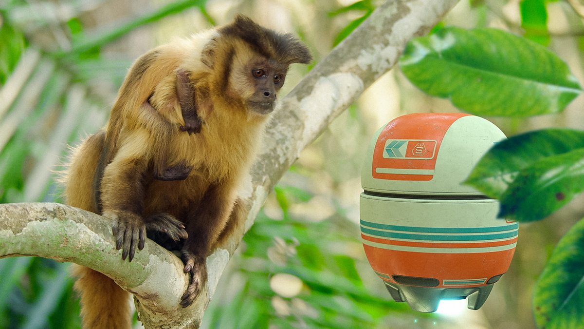 Andys Global Adventures - Series 2: 4. Andy and the Piraputanga - BBC ...