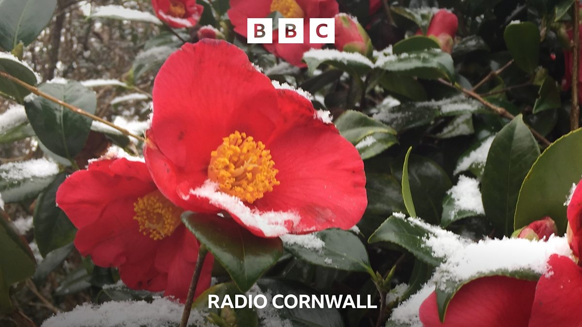 BBC Radio Cornwall - BBC Radio Cornwall, Met Office warning of Snow and ...