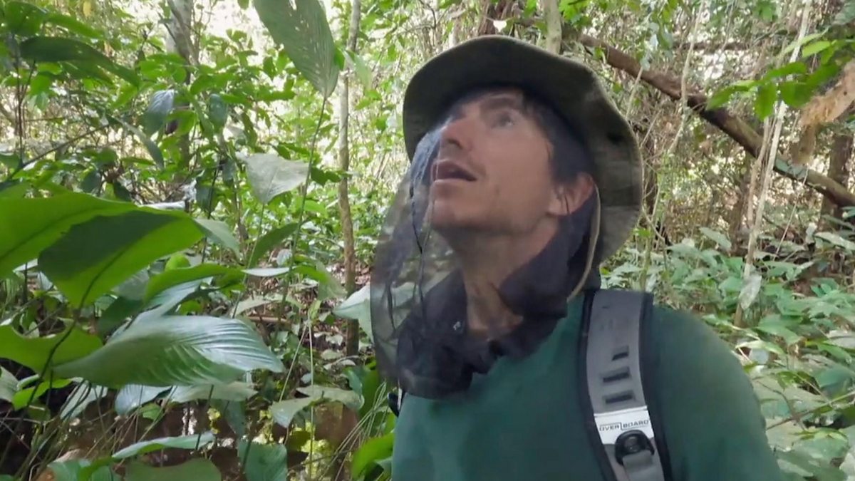 BBC Two - Wilderness with Simon Reeve, Series 1, Congo, "We are going ...