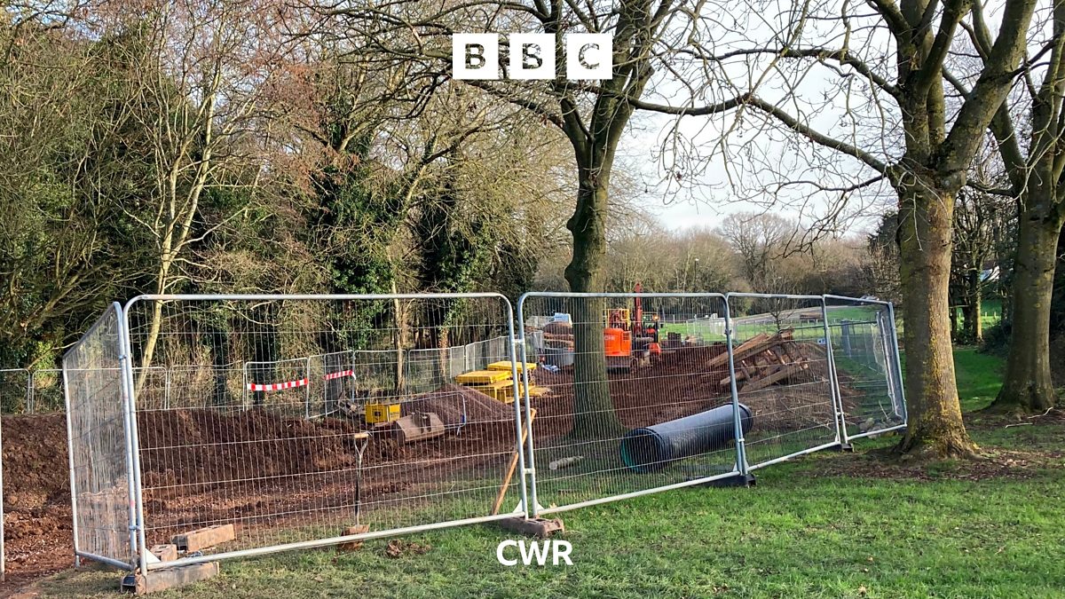 BBC CWR - BBC CWR, Trees in Coventry get the chop to make way for new ...