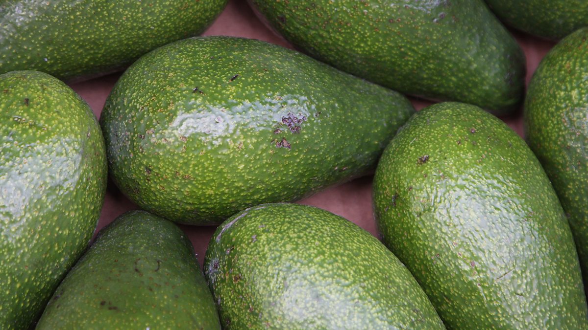 BBC Radio 4 - Gardeners' Question Time, Postbag: Ham House and Garden