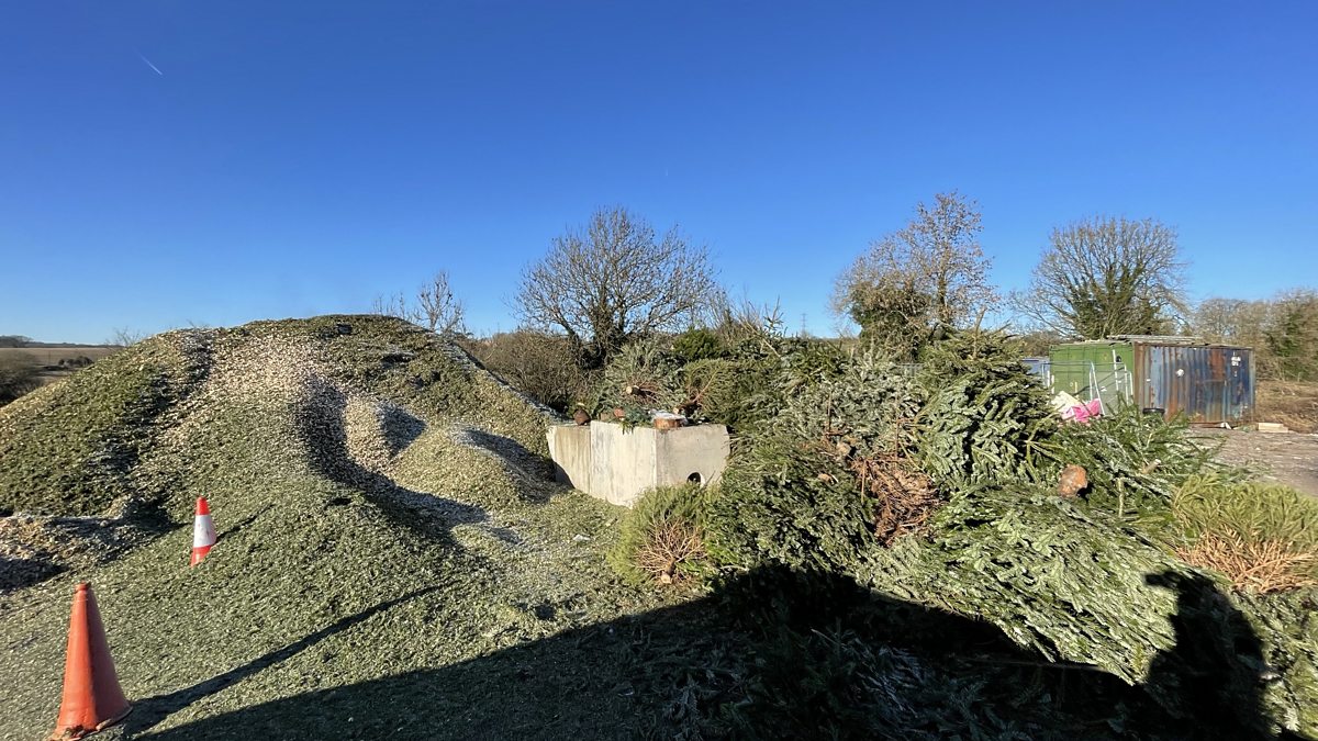 BBC Radio Gloucestershire - Nicky Price, 'We're blown away by the ...