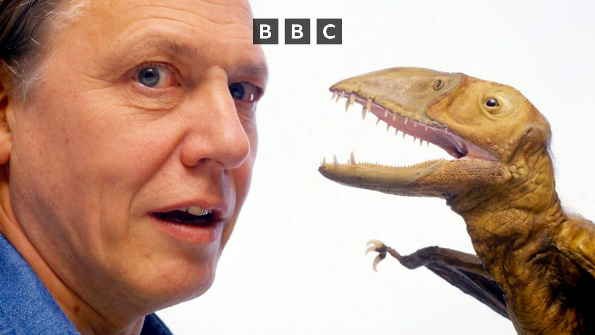 BBC Radio 4 - Desert Island Discs, David Attenborough