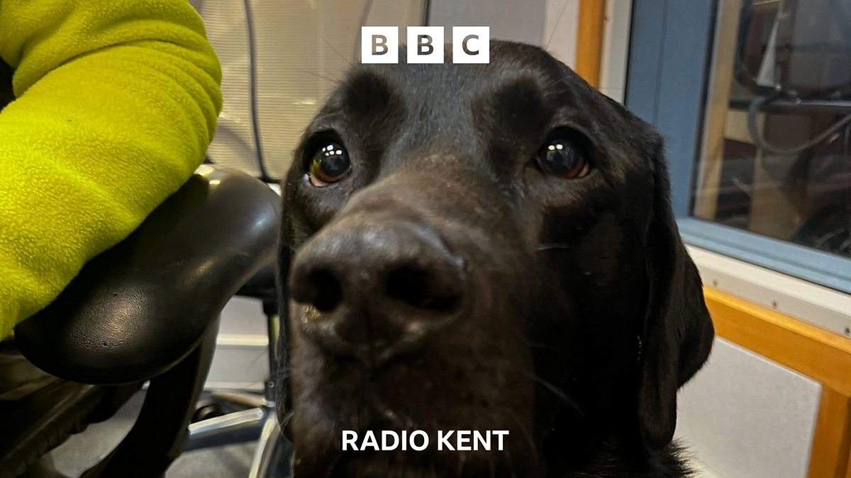 BBC Radio Kent - BBC Radio Kent, You're looking at Kent's cleverest canine!