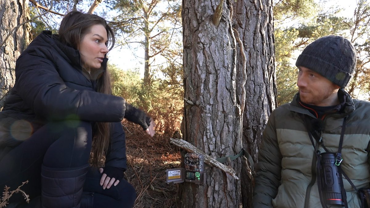 BBC Two - Winterwatch, The search for wildlife at RSPB Arne