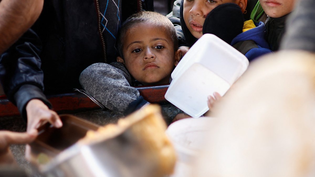 BBC World Service - Newsday, Displaced Gazans suffering from chronic ...