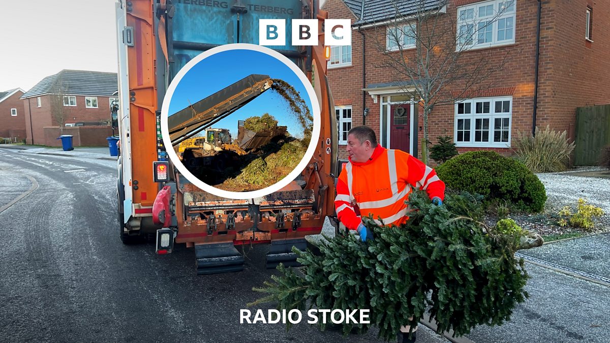 BBC Radio Stoke - BBC Radio Stoke, Christmas trees fighting illness in ...
