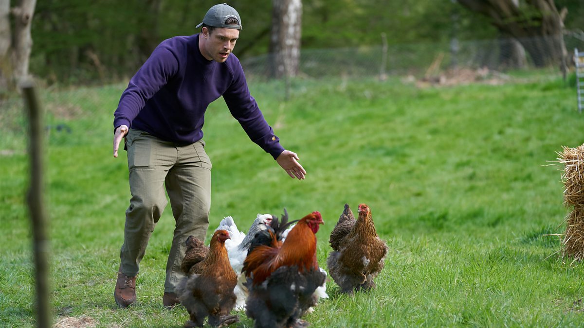 David Mitchells Outsiders - Series 1: Episode 6 - BBC iPlayer