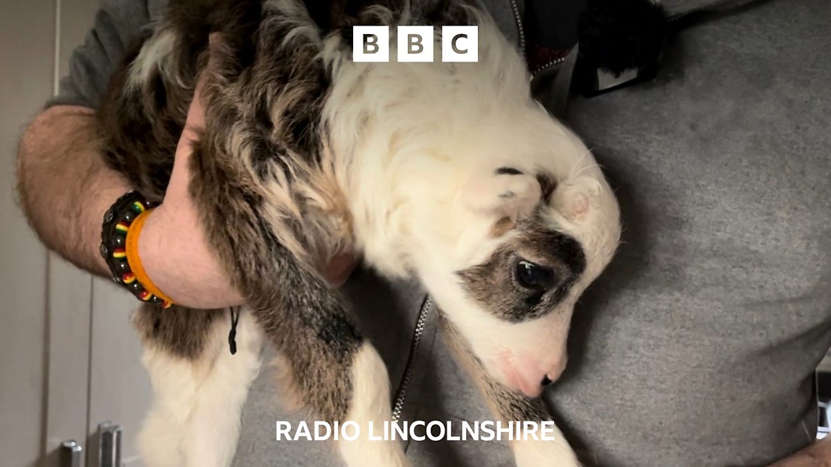 BBC Radio Lincolnshire - BBC Radio Lincolnshire, The Lincolnshire rare ...