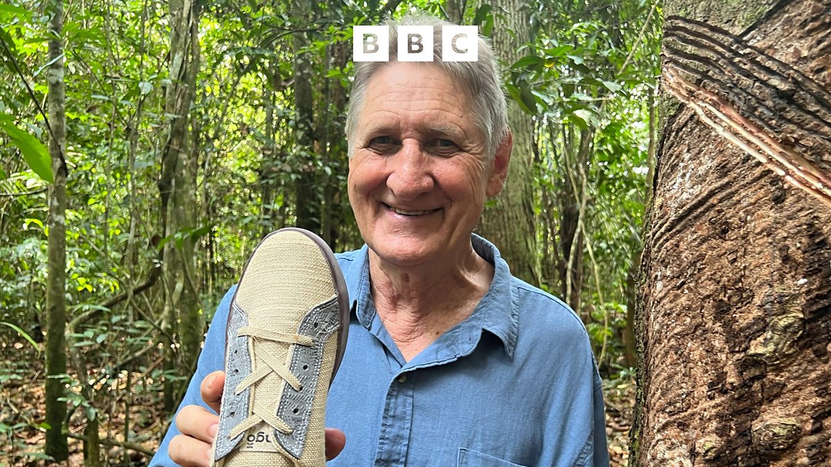 BBC World Service - People Fixing the World, Keeping the Amazon standing