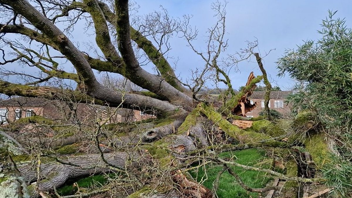 BBC Radio Devon - John Acres, 30/01/2024, The 700 year old Silverton ...