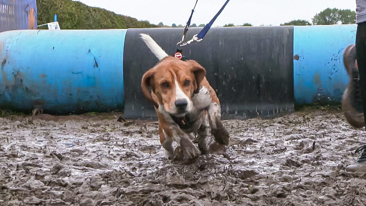 BBC iPlayer - Blue Peter Challenges - Series 1: 9. Richie and Henry Versus Mud