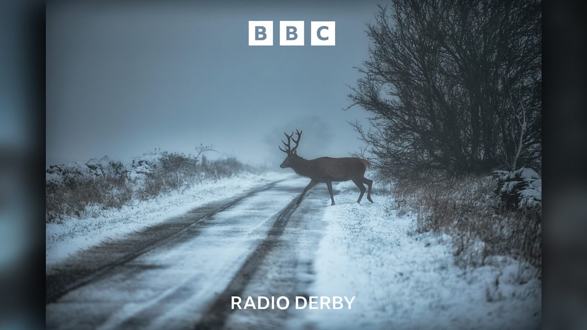 BBC Radio Derby - BBC Radio Derby, Villager Jim: Stunning stag wins ...