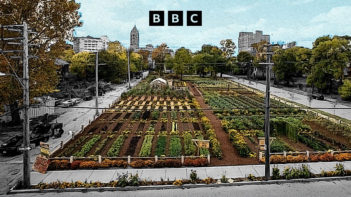 BBC World Service - The Food Chain, Detroit's urban farmers