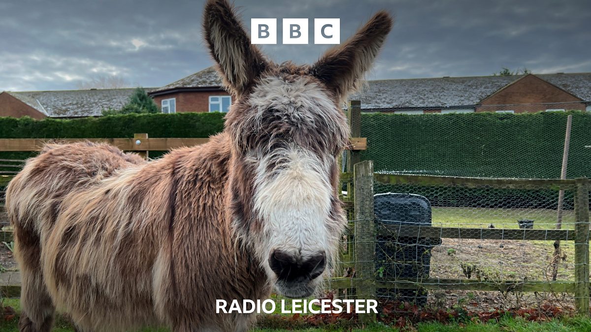 BBC Radio Leicester - BBC Radio Leicester, Finding a friend for Harold ...