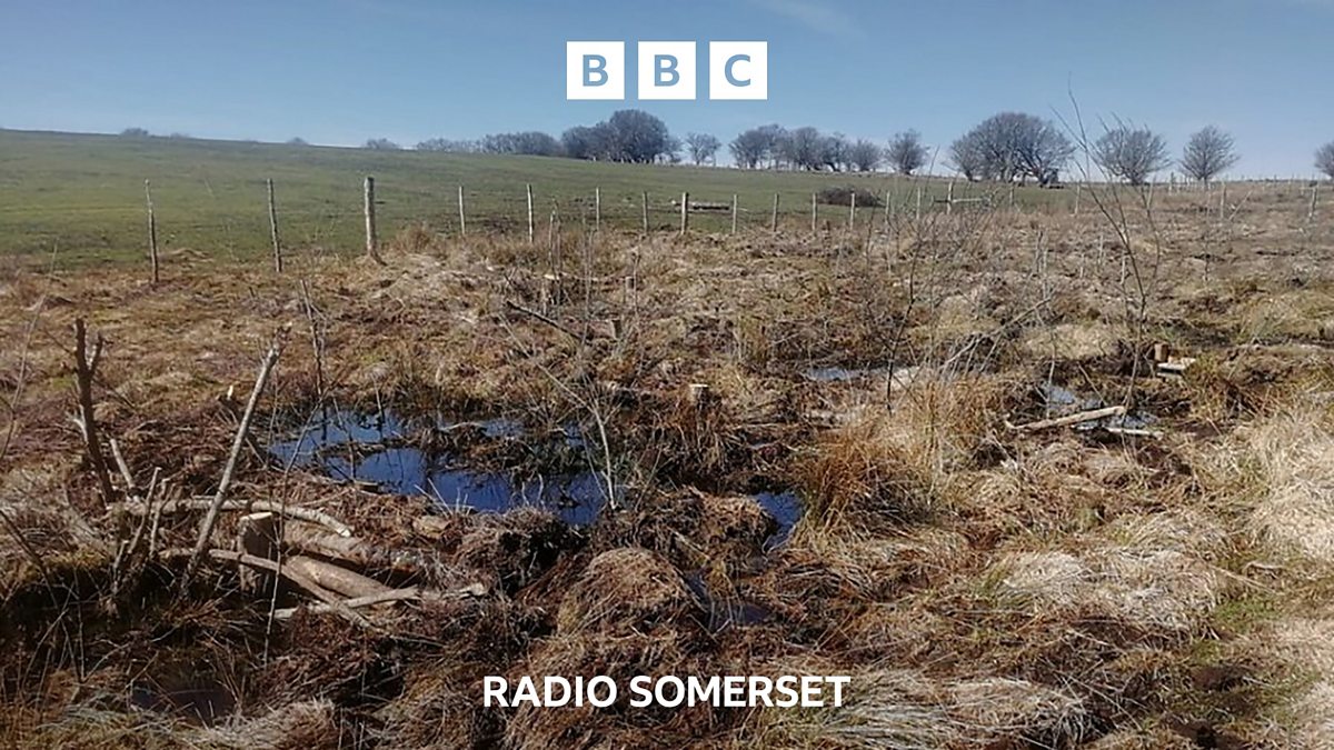 BBC Radio Somerset - BBC Radio Somerset, Secret Somerset: new prehistoric discovery on Exmoor