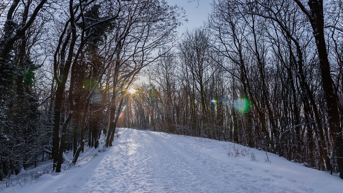 BBC Radio Ulster - Thought for the Day from Radio Ulster, Dr Ciara ...