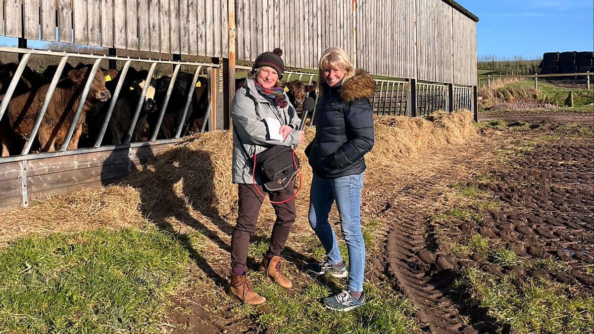 BBC Radio 4 - On Your Farm, Minette Batters