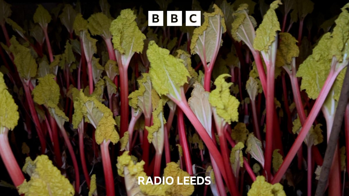 BBC Radio Leeds - BBC Radio Leeds, Wakefield Rhubarb Festival returns
