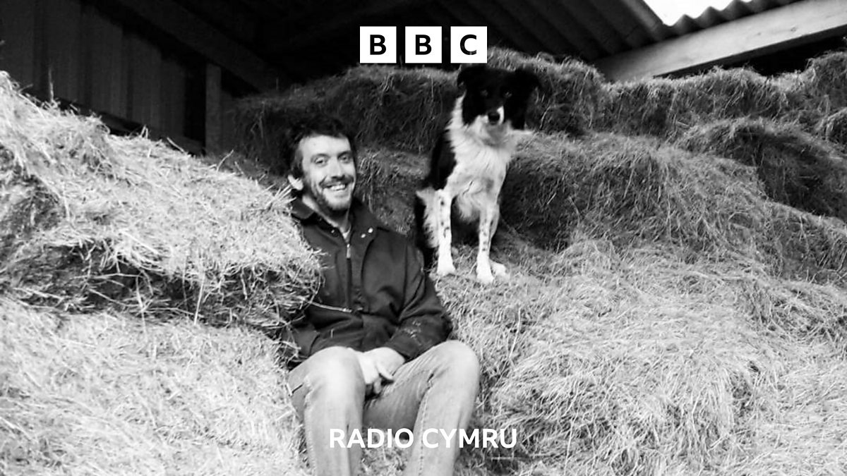 BBC Radio Cymru - BBC Radio Cymru, Y ci o Abergwaun sy'n deall Cymraeg