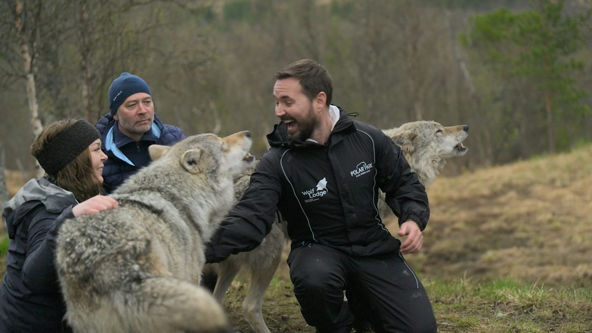BBC - Media Centre Clips, Martin Compston's Norwegian Fling - Wolves